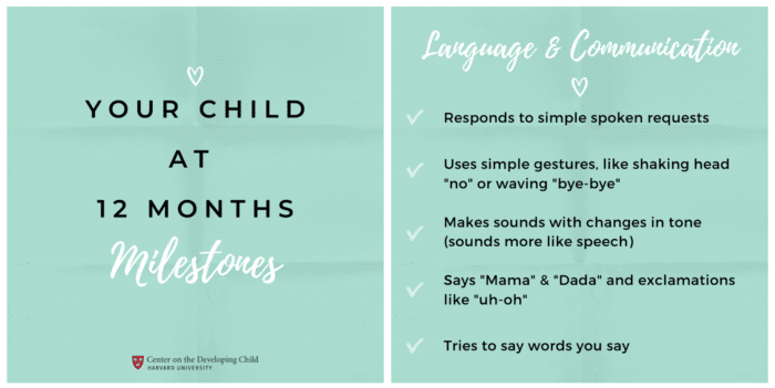 Your Toddler’s Language Development - Discerning Parenting